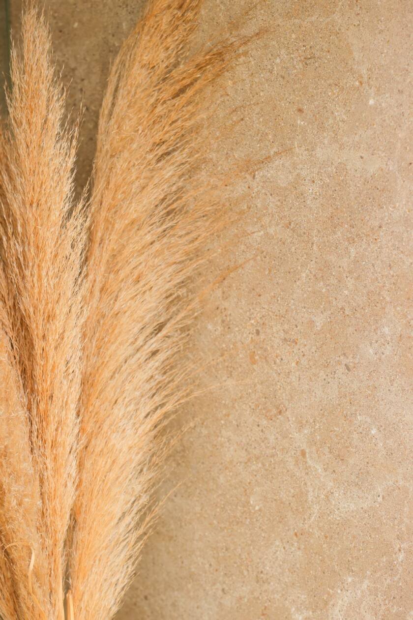 Moroccan Marble and Limestone